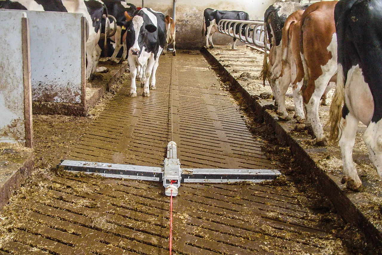 Técnica de desinfección de Peter Prinzing